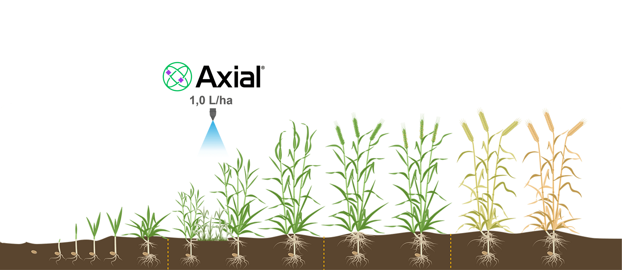 Axial | Portal Syngenta