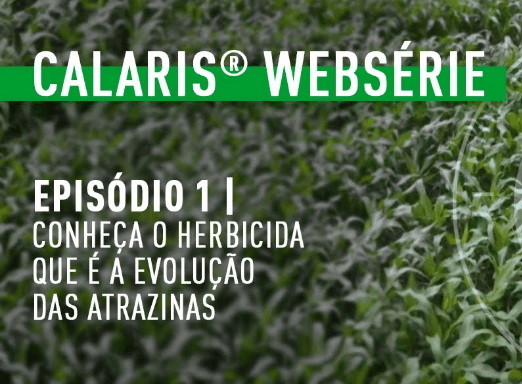 Herbicida Calaris® | Portal Syngenta