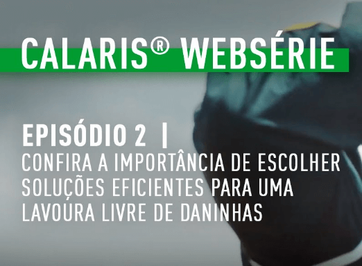 Herbicida Calaris® | Portal Syngenta