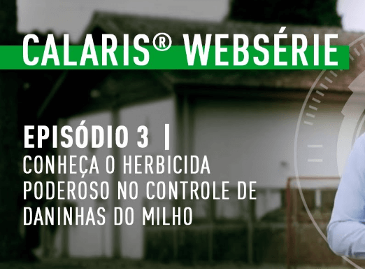 Herbicida Calaris® | Portal Syngenta