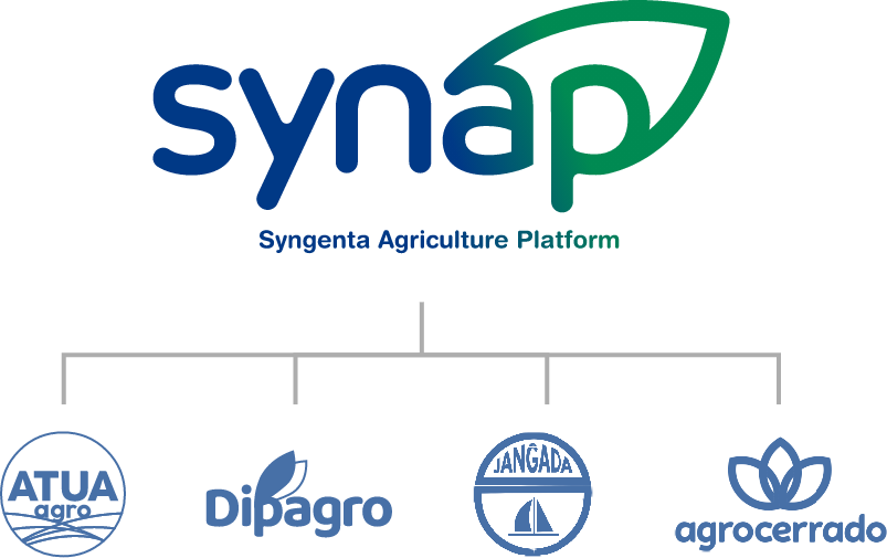 Synap | Portal Syngenta