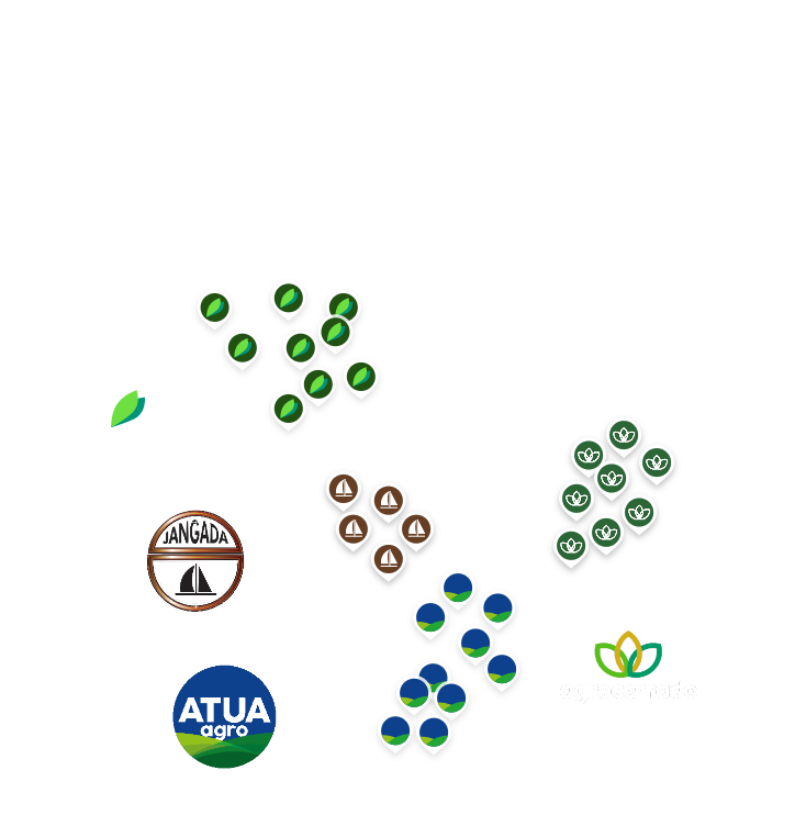 Synap | Portal Syngenta