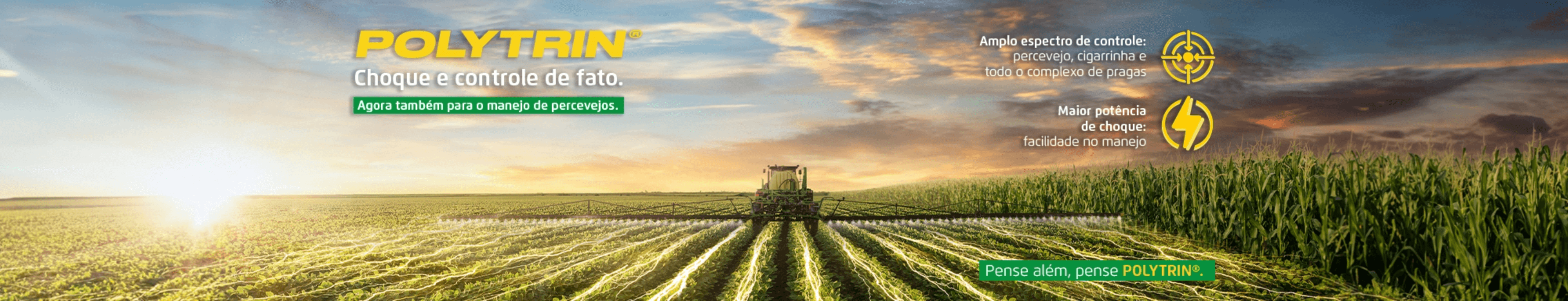 Inseticida Polytrin Milho | Portal Syngenta