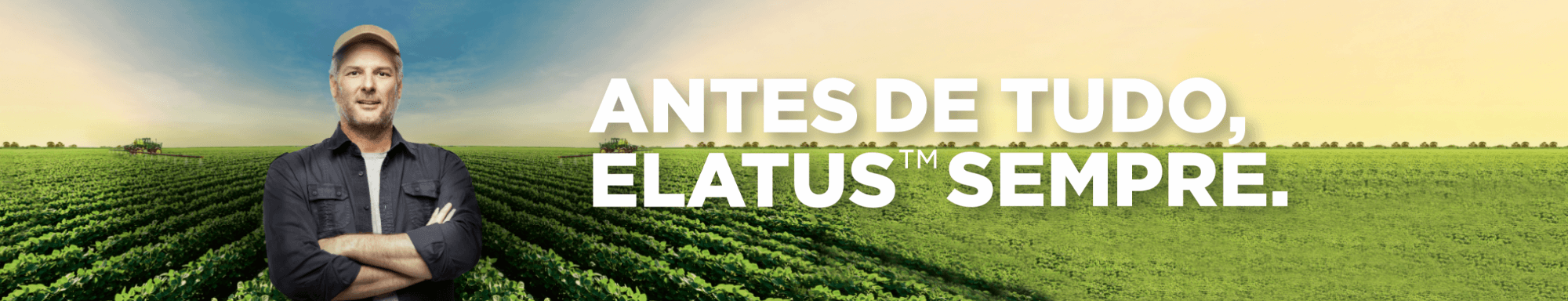 Fungicida Elatus | Portal Syngenta