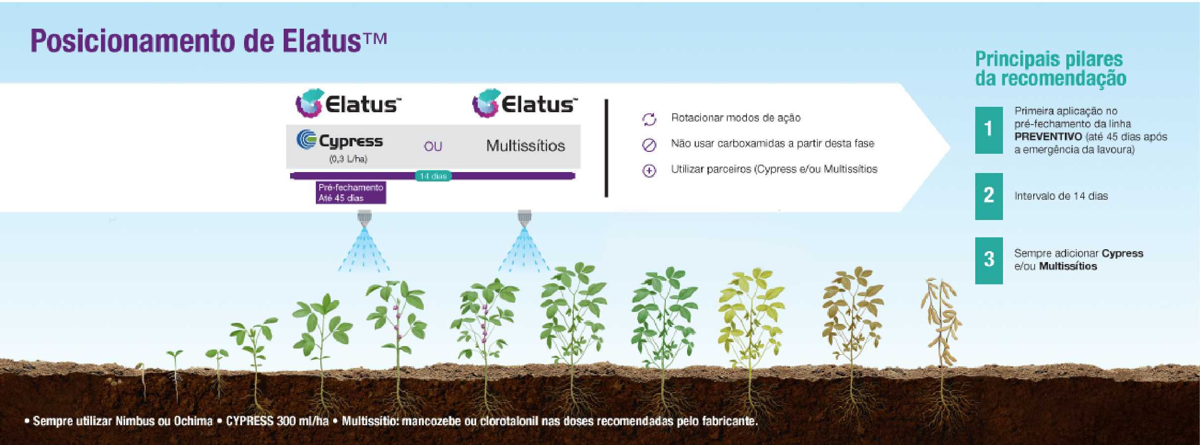 Fungicida Elatus | Portal Syngenta