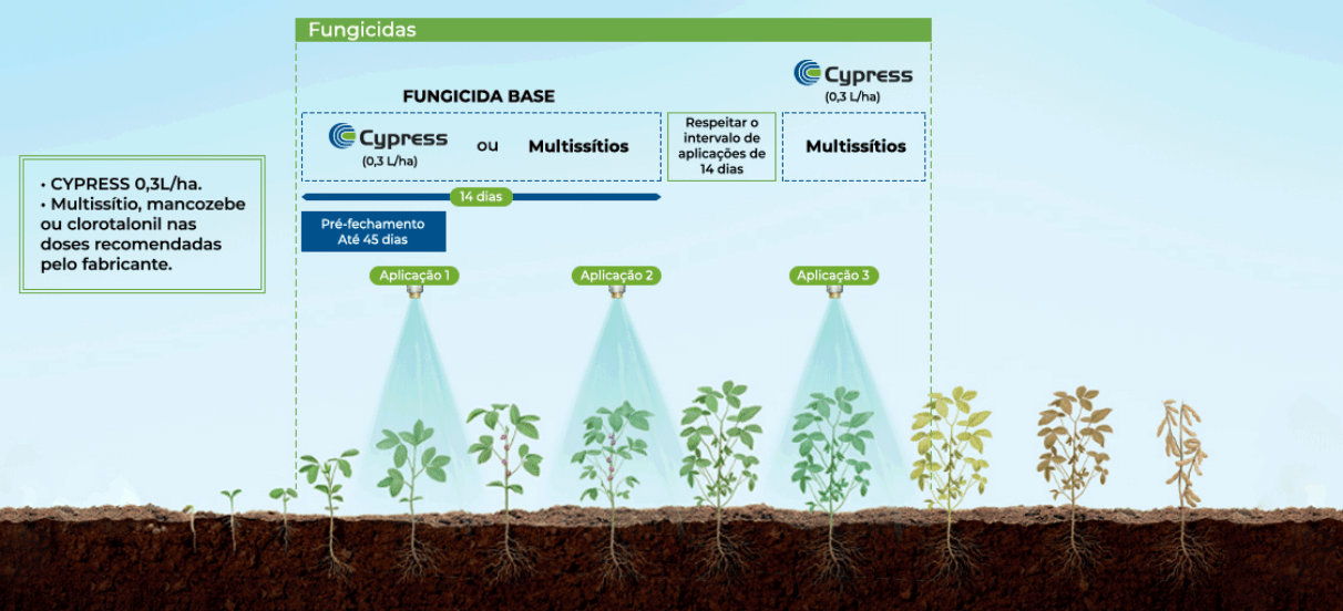 Fungicida Cypress | Portal Syngenta
